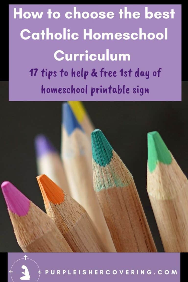 How to choose the best Catholic Homeschool Curriculum - Purple Is Her ...